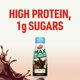 BOOST Glucose Control Max 30g Protein Nutritional Drink, Rich Chocolate ...