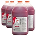 Gatorade Fruit Punch Liquid Concentrate Drink, 1 Gallon Jug, 4/Carton ...