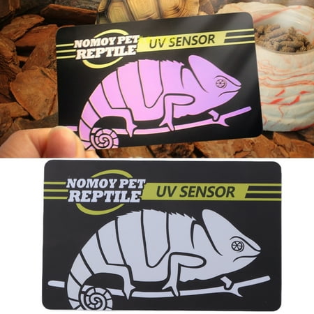 ANGGREK UV Test Card,Quick Test UVB Sensor,Crawl Pet UV Test Card Easy ...