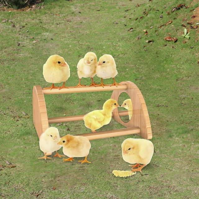 Chicken Wood Stand, Chick Perch, Wooden Training Perch Ladder Roost ...