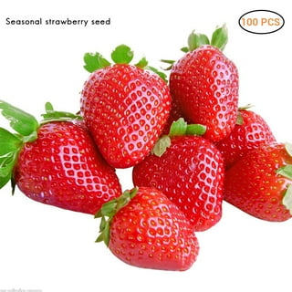 20 Seeds WHITE DRAGON FRUIT (Pitaya / Pitahaya / Strawberry Pear ...