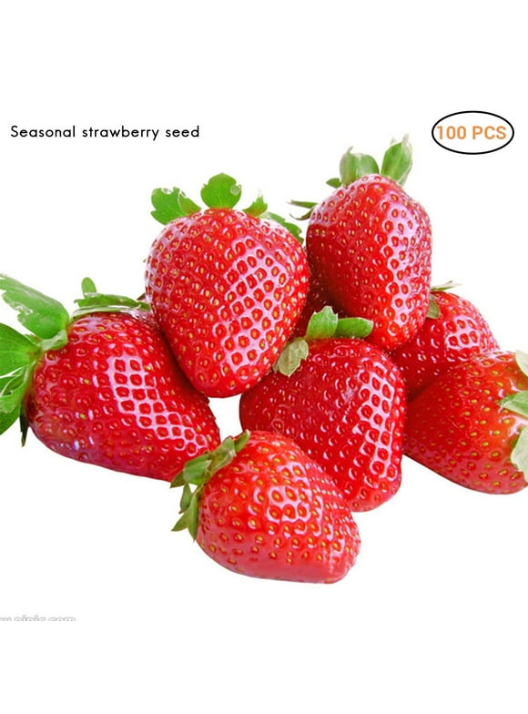 Strawberry Seeds in Seed Gardening - Walmart.com