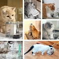Cat Water Fountain Auto Filter Transparent Cat Drinker USB Electric ...