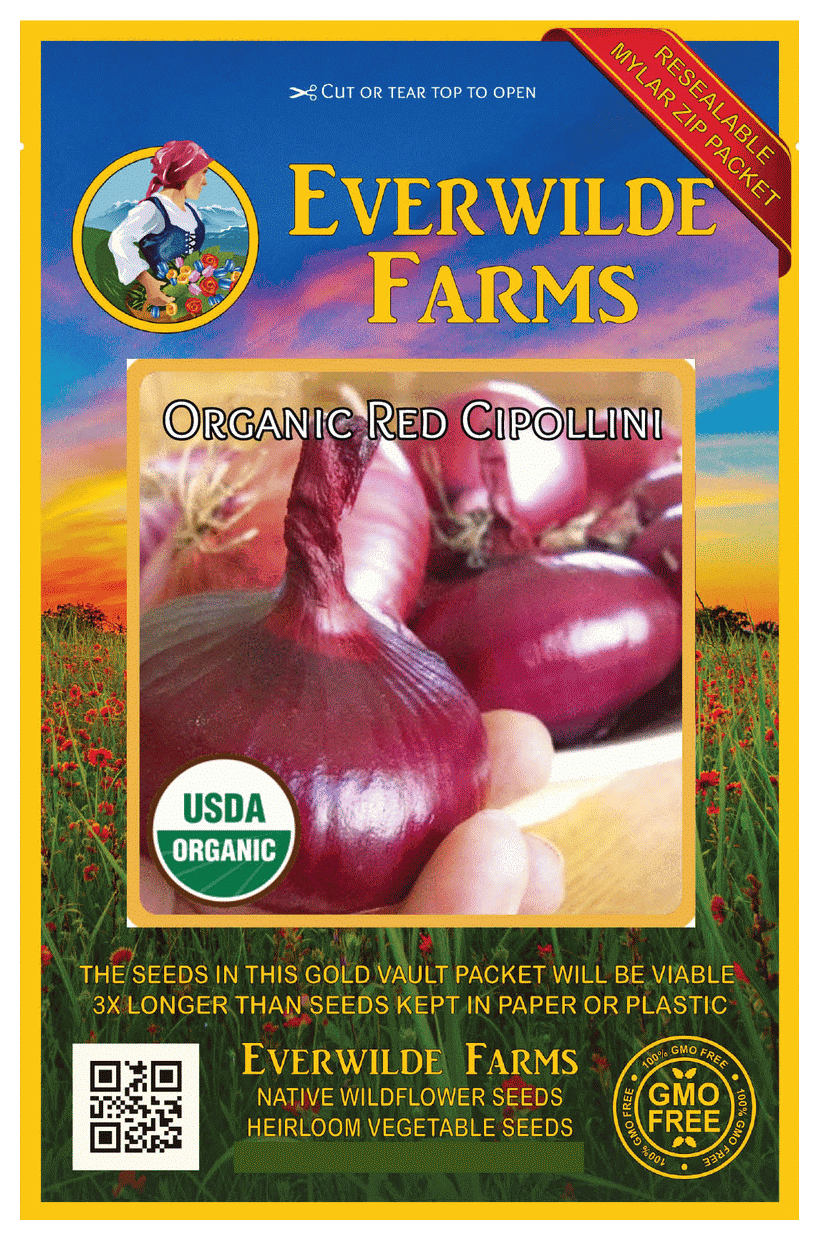 Everwilde Farms - 1 Oz Organic Red Cipollini Onion Seeds - Gold Vault ...