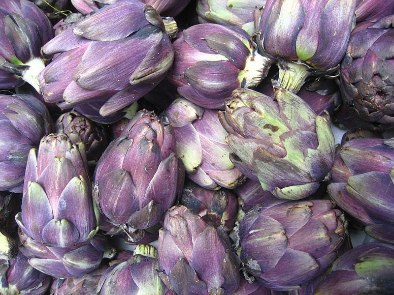 50 PURPLE ROMAGNA ARTICHOKE Italian Cynara Scolymus Flower Vegetable ...
