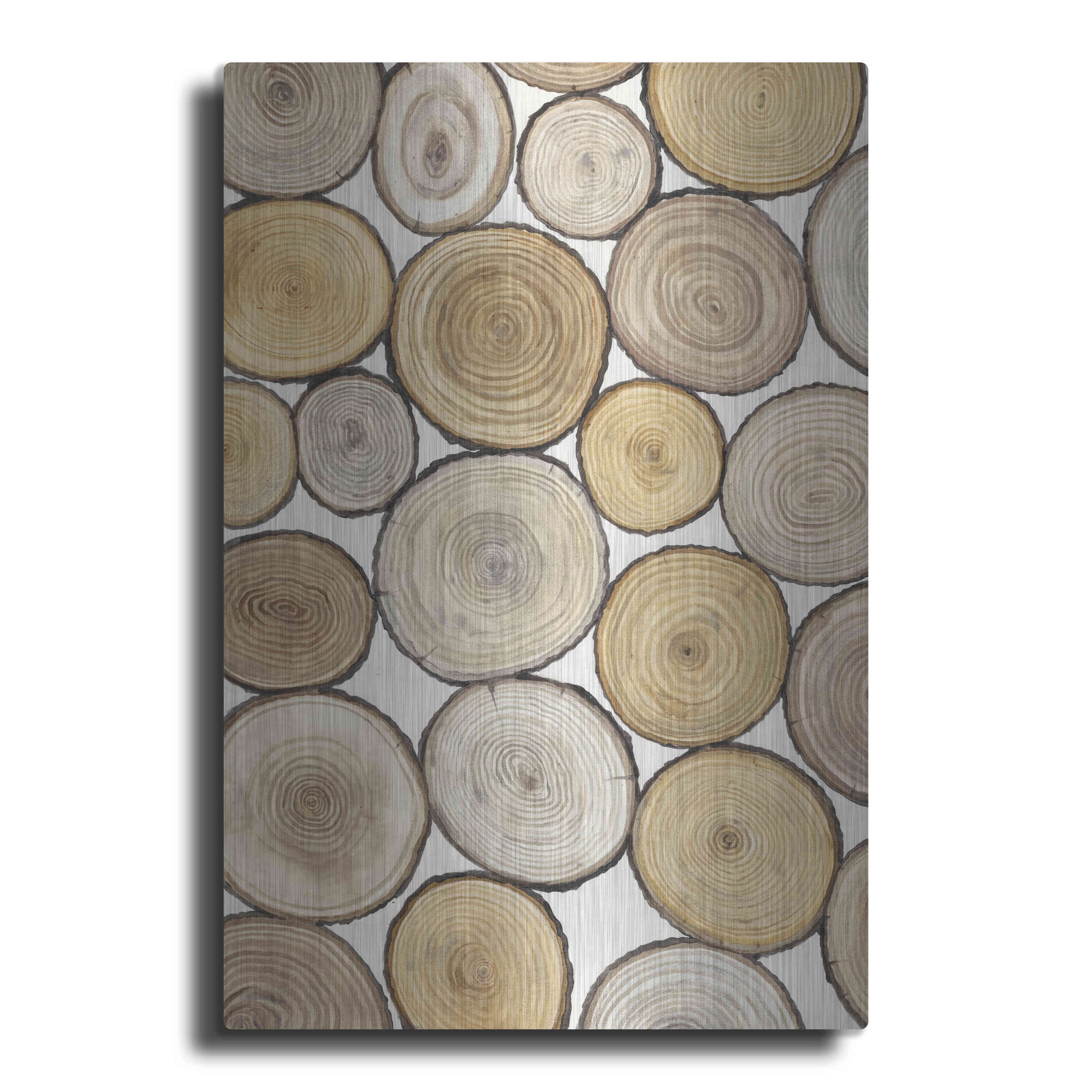 Luxe Metal Art 'Tree Ring Study I' by Tim O'Toole, Metal Wall Art, 12 ...