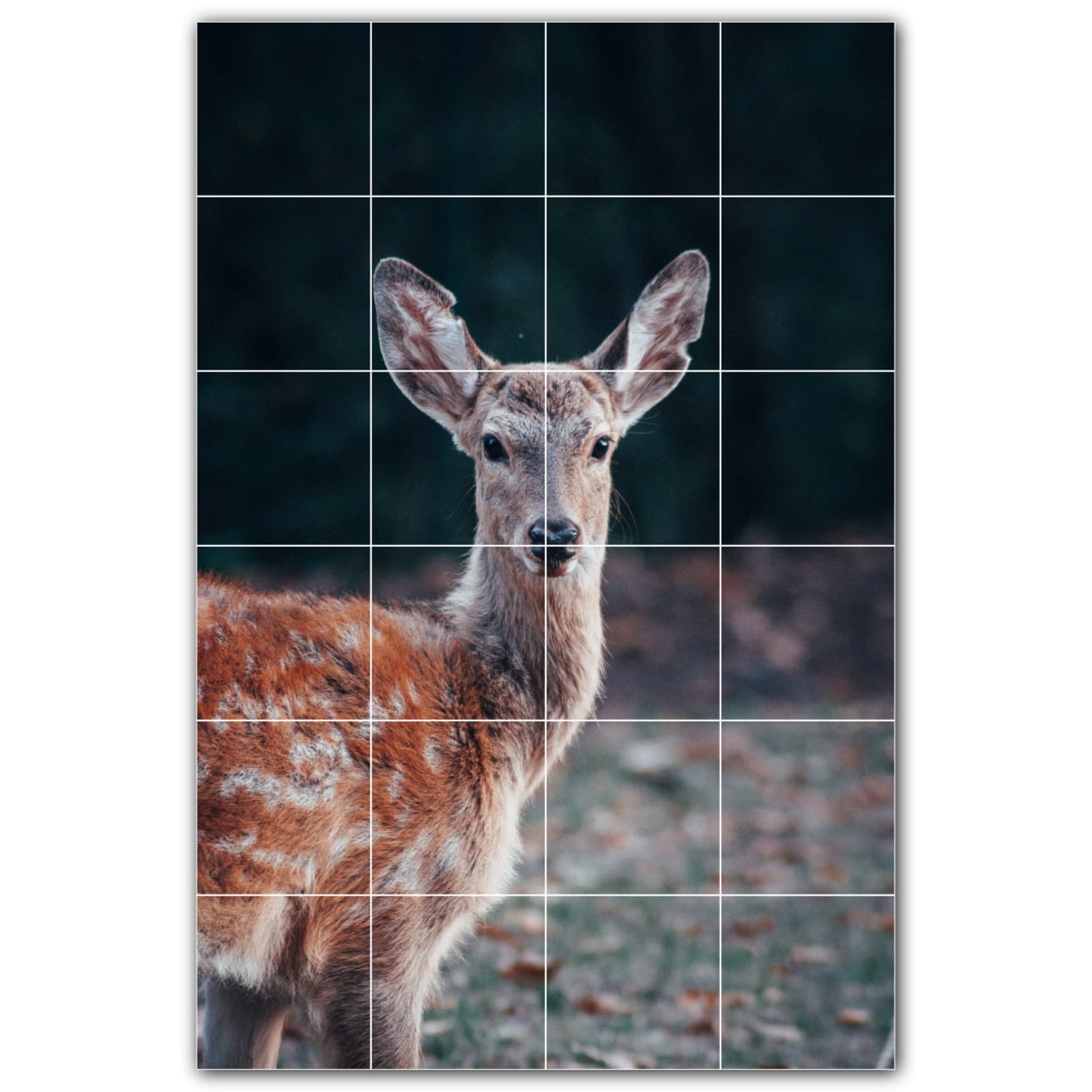 Picture-Tiles.com: Deer Ceramic Tile Wall Mural WAL500432-46M. 24"W x ...