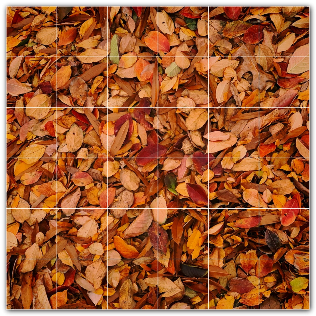 Picture-Tiles.com: Trees Ceramic Tile Wall Mural WAL501013-66XL. 72"W x ...