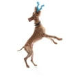 West Paw Zogoflex Tizzi Small 4.5" Dog Toy Aqua - Walmart.com