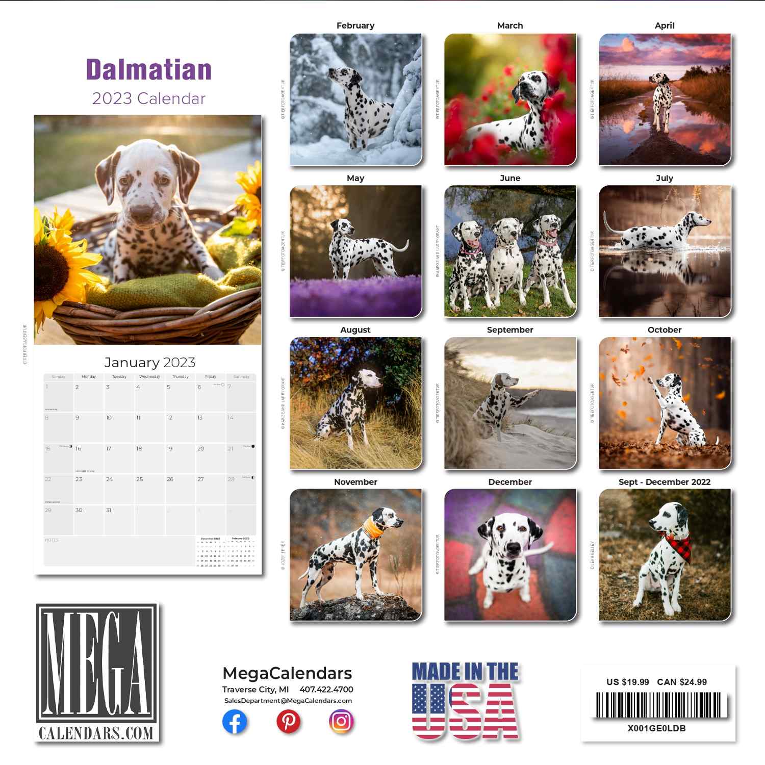 Dalmatian 2022 Dog Breed Premium Wall Calendar