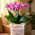 CHELIASD White Square Nursery Pots, 5Pcs 5 Inch Hydroponics Growing ...