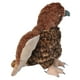Cuddlekins Red Tailed Hawk Plush Stuffed Animal by Wild Republic, Kid ...