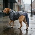 A Full Coverage All Weather Raincoat With A Tail Suitable For Outdoor ...