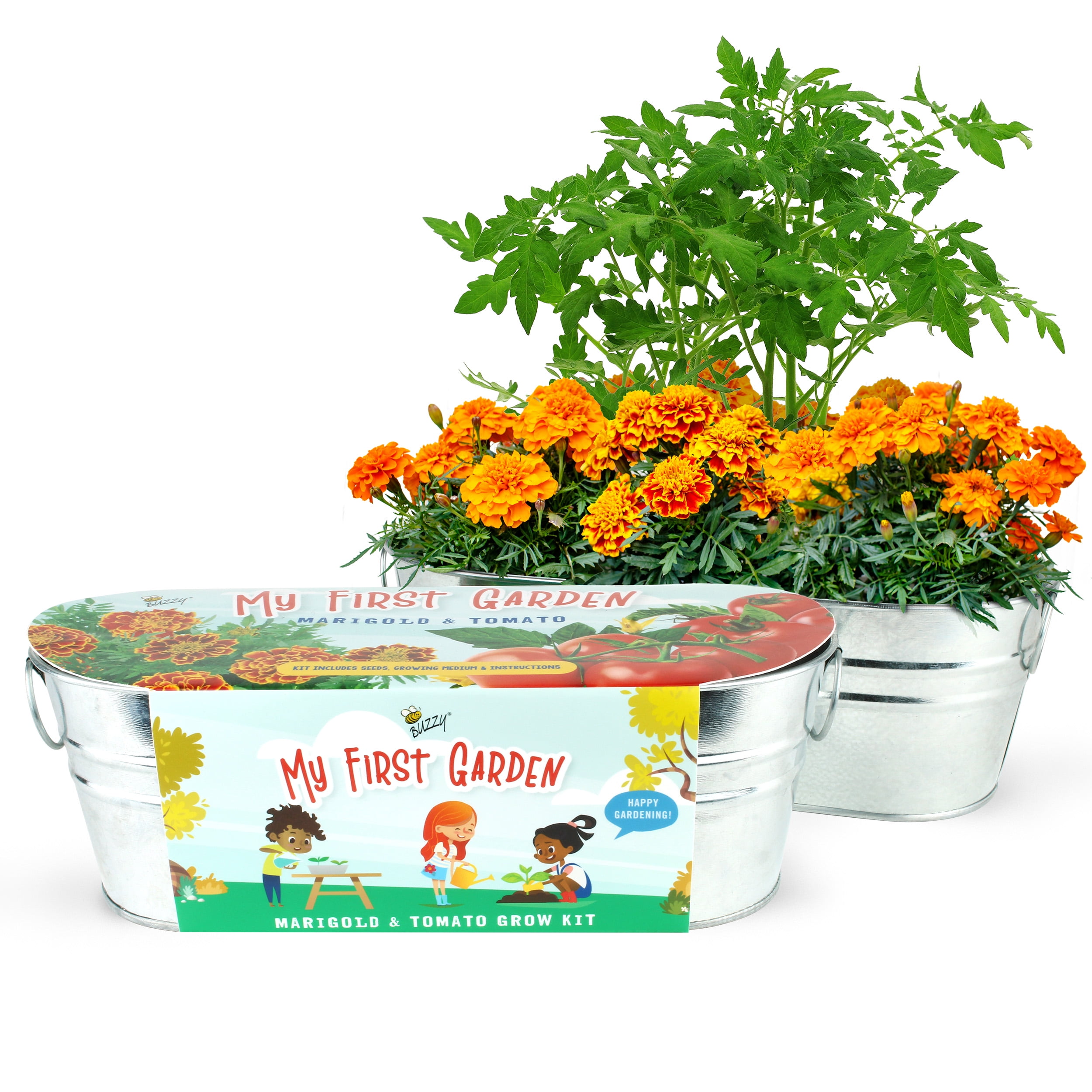 BUZZY Kids Windowsill Grow Kit | My First Garden: Tomato and Marigold ...