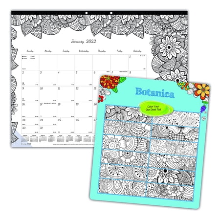 Blueline 2021 DoodlePlan Monthly Coloring Desk Pad Calendar, January ...