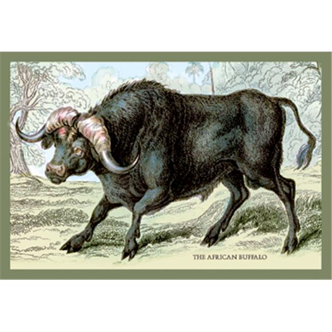 Buy Enlarge 0-587-05823-4P20x30 African Buffalo- Paper Size P20x30 ...