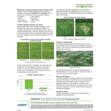 Syngenta Tenacity Herbicide - Pre-Emergent Broadleaf Weed & Grass ...