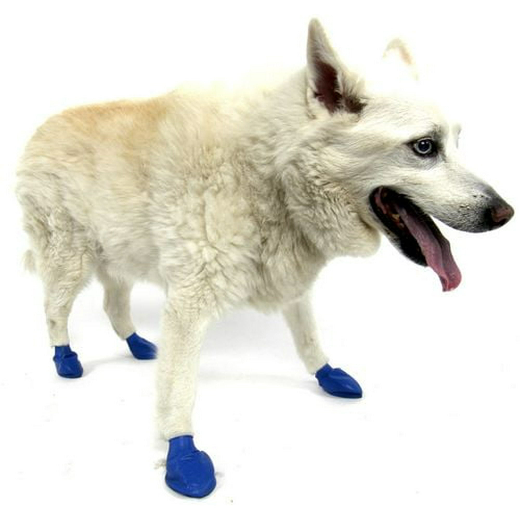 Click here for Protex Pawz Pawz Dog Boots (Medium) prices