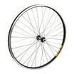 Worksman Bicycle Wheel 4131QA - Walmart.com