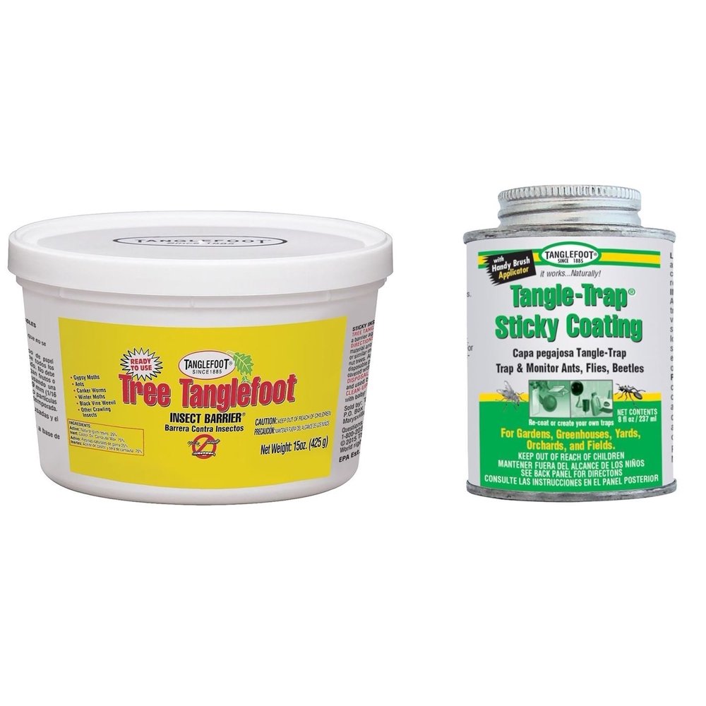 Tanglefoot Bundle 2 Products Tree Insect Barrier Tub + 8-Ounce Tangle ...