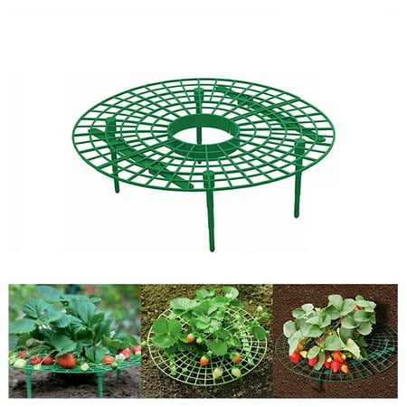 Strawberry Growing Support Strawberry Growing Support Practical ...