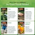 Created By Nature, Wildflower Seed Mix, 54,000+ Seeds, 22 Varieties ...