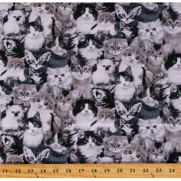 Cotton Cats Allover Cat Breeds Kittens Kitties Animals Feline Adorable ...