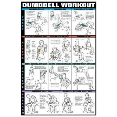 Dumbbell Workout Charts | Walmart Canada