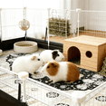 55" x 28" Large Guinea Pig Cage & Indoor Playpen - C&C Habitat with ...