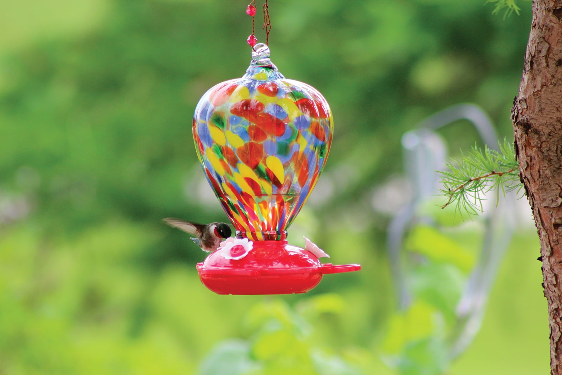 Art Glass Hummingbird Feeder Color Balloon - Walmart.com