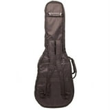 ChromaCast Pro Series Double Electric Guitar, Padded Soft Case, Holds ...