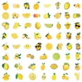 59 Lemon Stickers – Waterproof Vinyl Citrus Fruit Decals for Water ...