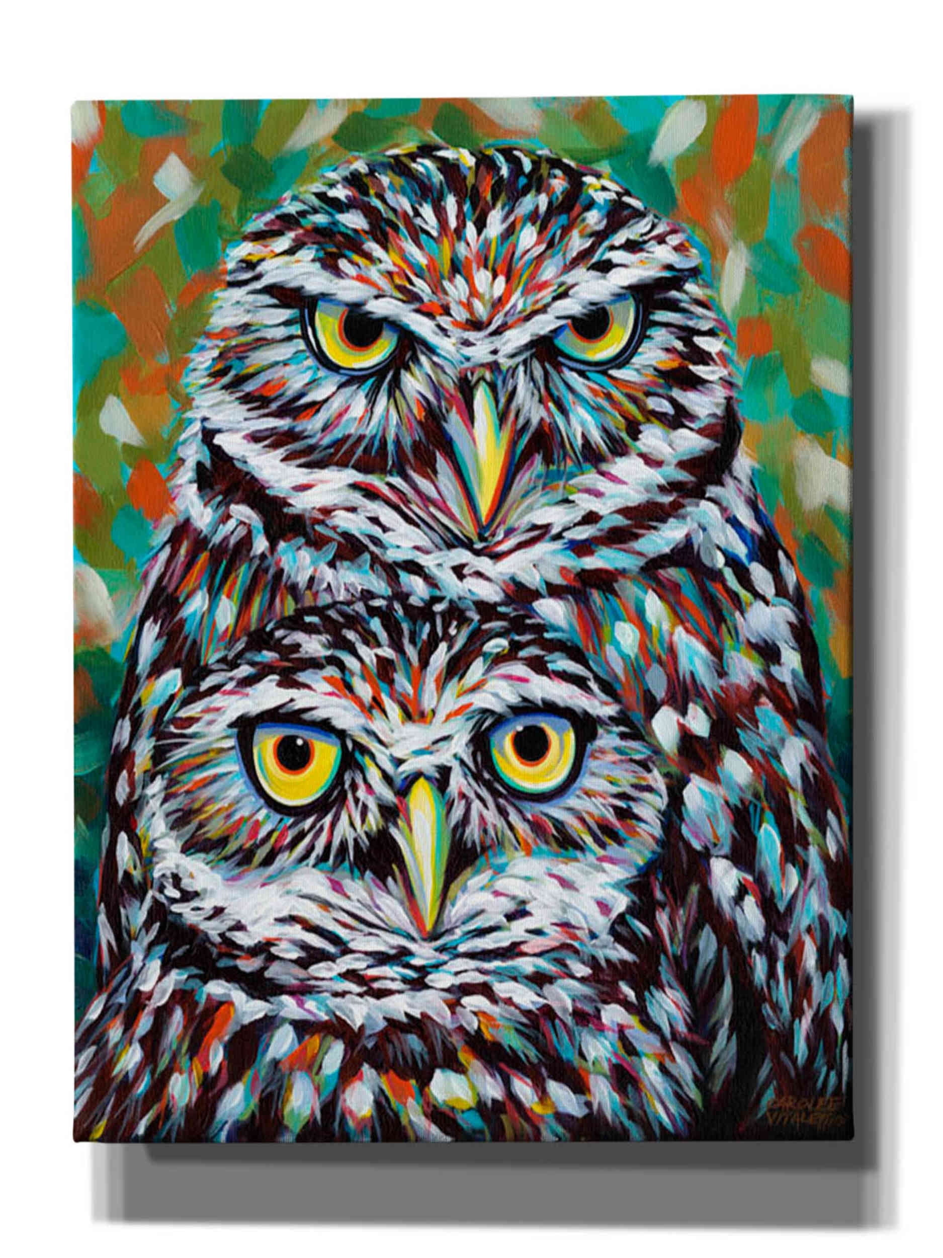 Epic Graffiti 'Furry Feather Friends I' by Carolee Vitaletti Canvas ...