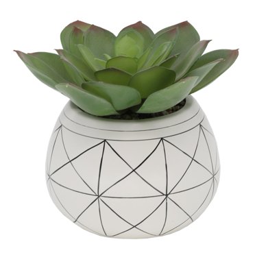 Burton & Burton Large Golf Ball Planter/Bowl - Walmart.com