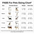 Pet Anti-Breeding System (XX-Large) - Walmart.com