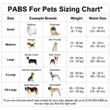 Pet Anti-Breeding System (XX-Large) - Walmart.com
