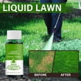 Green Grass Lawn Spray, Liquid Grass Seed Spray for Lawn, Liquid ...