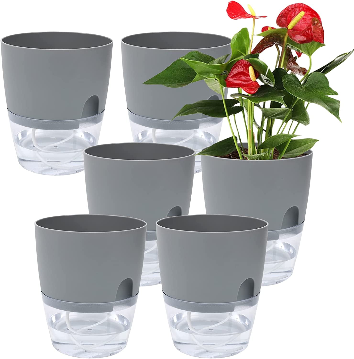 6 Pack Self Watering Pots 6Inch Plastic Plant Pots Bottom Watering ...