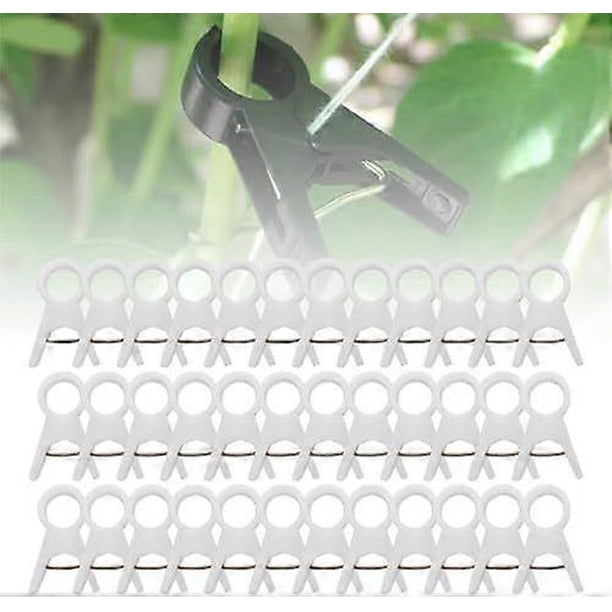 Plant Support Clips, Secured Plastic Plant Clips, Reusable Garden ...