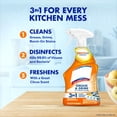 Kitchen Spray Cleaner and Degreaser, Antibacterial All Purpose Cleaning ...