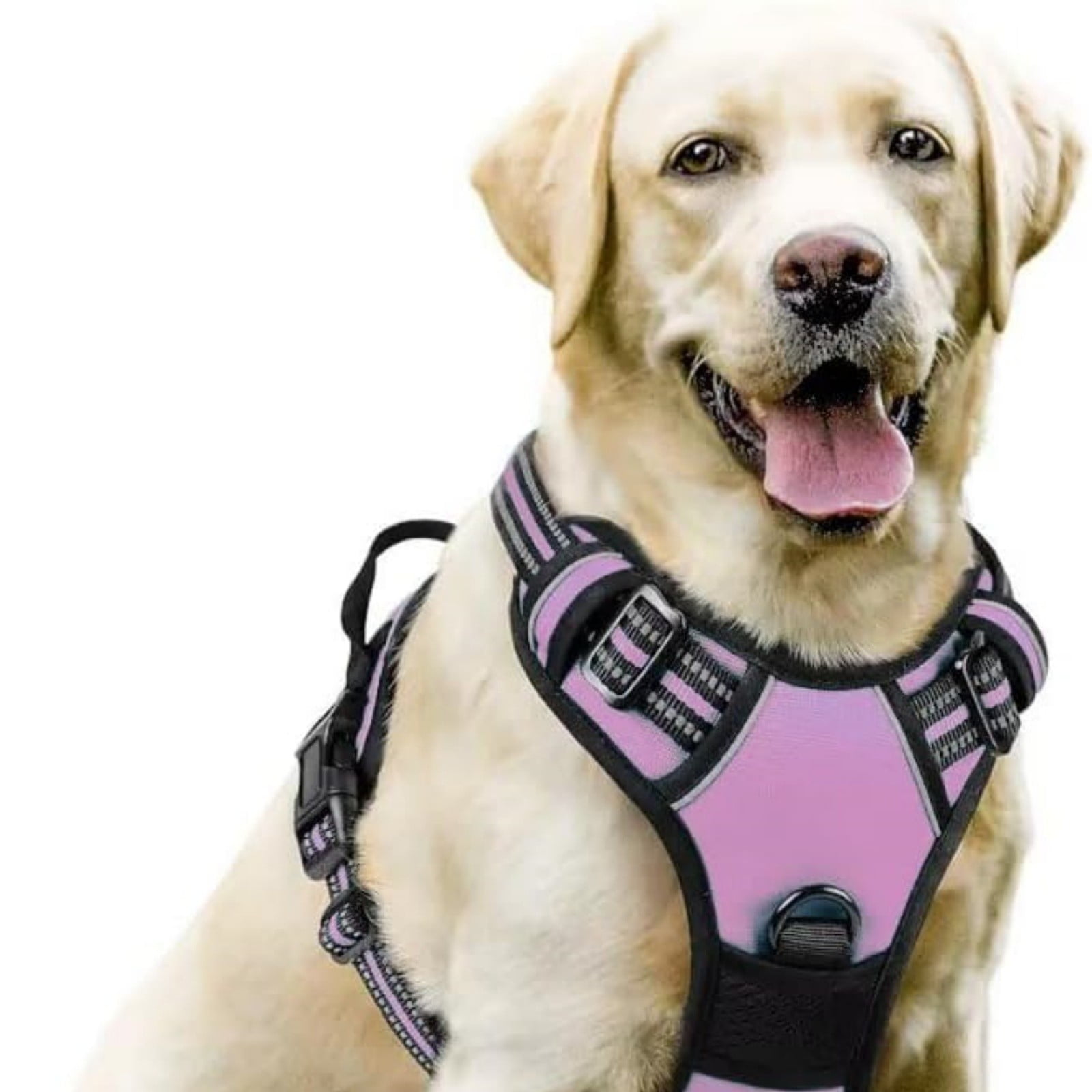 Click here for Hearth & Gear Pawsafety No Pull Harness Coastal Do... prices