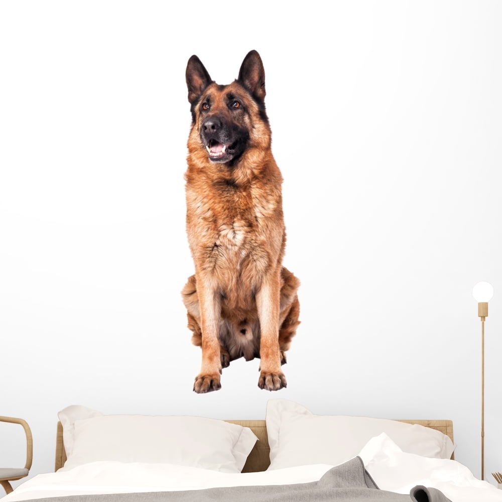 German Shepherd White Wall Mural Decal by Wallmonkeys Vinyl Peel and ...