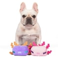 Minecraft: Small Blue Axolotl Leucistic Axolotl Figure Plush Squeaker ...
