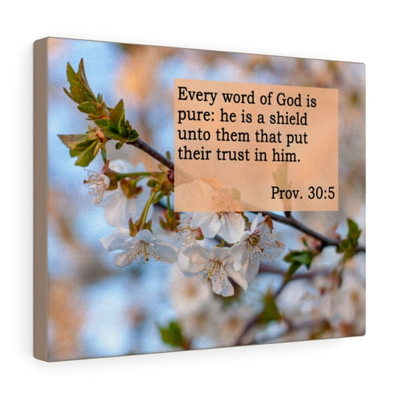 Scripture Walls He Is A Shield Proverbs 30:5 Bible Verse Canvas ...