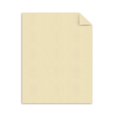Southworth Cotton Linen Business Paper, 8-1/2" x 11", 32 lb., Ivory ...
