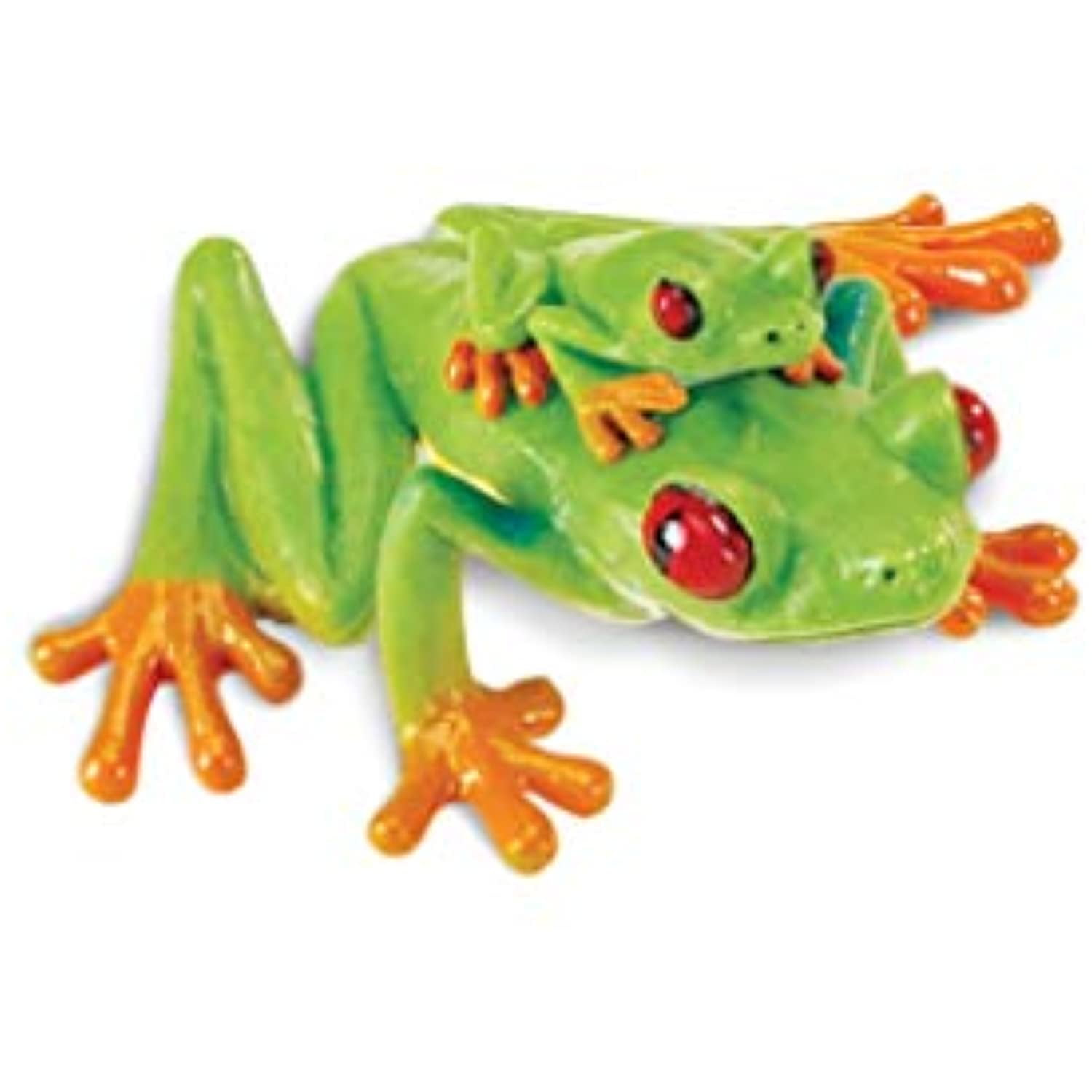 Safari Ltd. Red Eyed Tree Frog Â€“ Realistic Hand Painted Toy Figurine ...