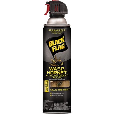 Black Flag Indoor & Outdoor Spider and Scorpion Killer, 16oz Aerosol ...