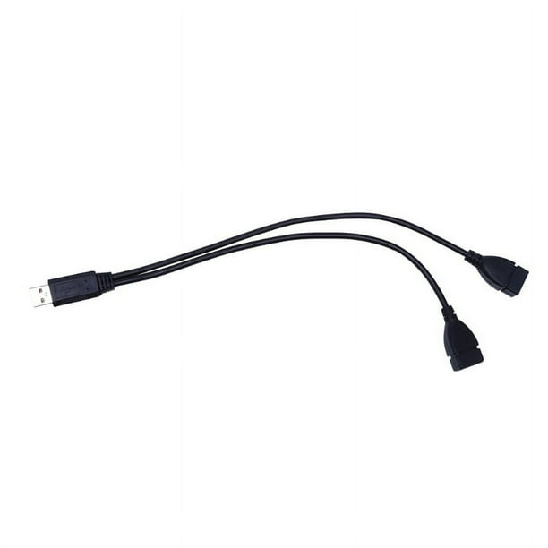 POINTERTECK USB 2.0 Type A 1 Male to Dual USB Female Extra Power Data ...