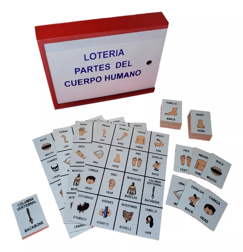 Lotería Partes Del Cuerpo Humano Juego Mesa Didáctico Madera | Walmart ...