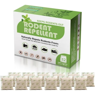 Rodent Block Spray Foam (12x16.9 oz) Mouse Hole Filler Barrier to Keep ...